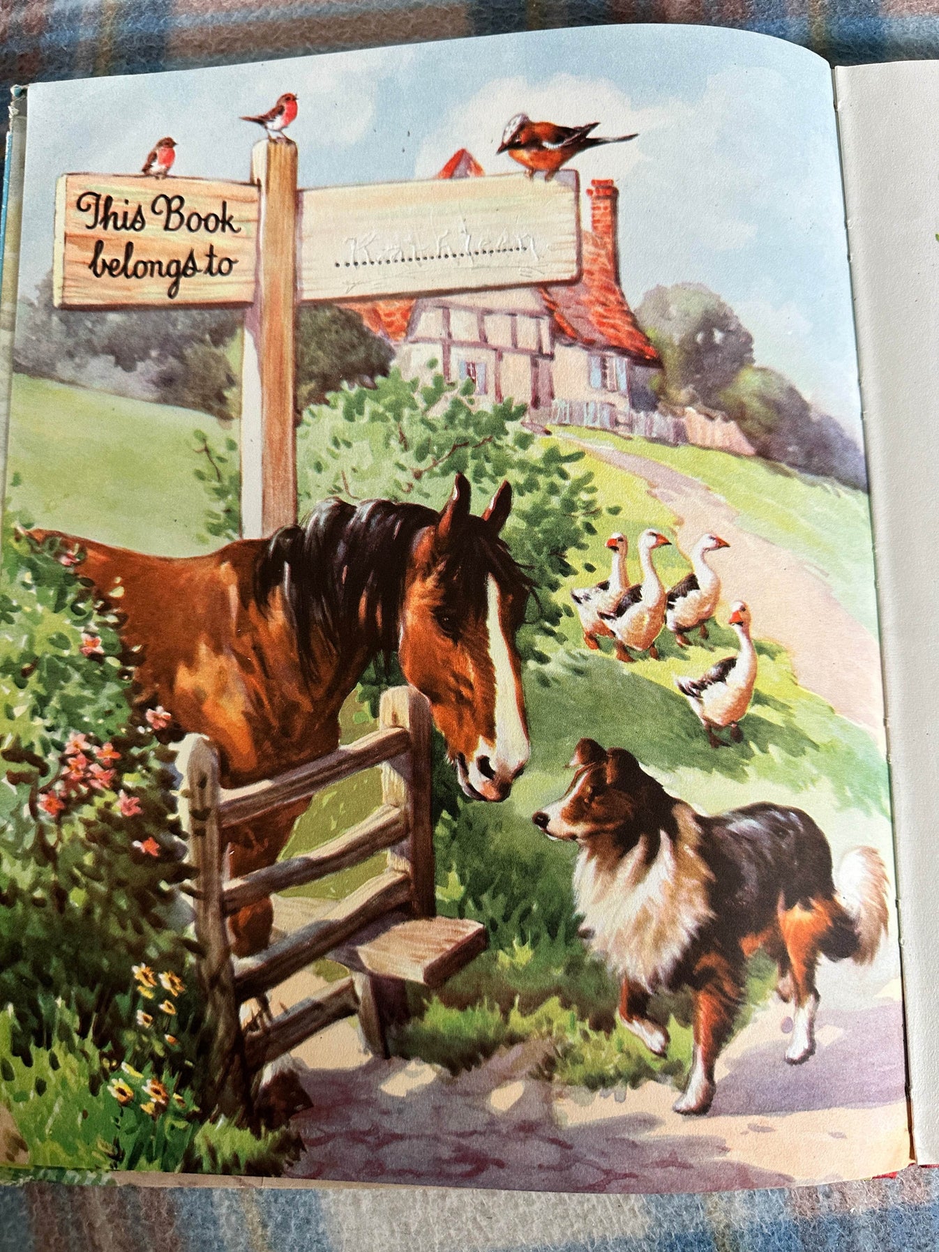 1950’s Cherry Tree Farm - A. E. Kennedy(The Sunshine Press) - Honeyburn ...