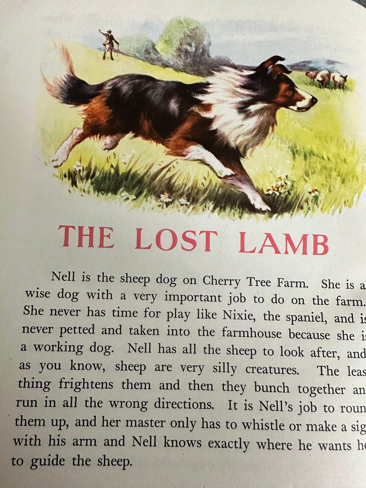 1950’s Cherry Tree Farm - A. E. Kennedy(The Sunshine Press) - Honeyburn ...