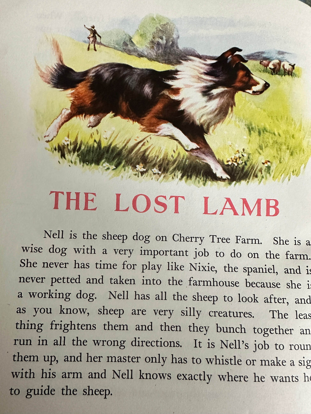 1950’s Cherry Tree Farm - A. E. Kennedy(The Sunshine Press) - Honeyburn ...
