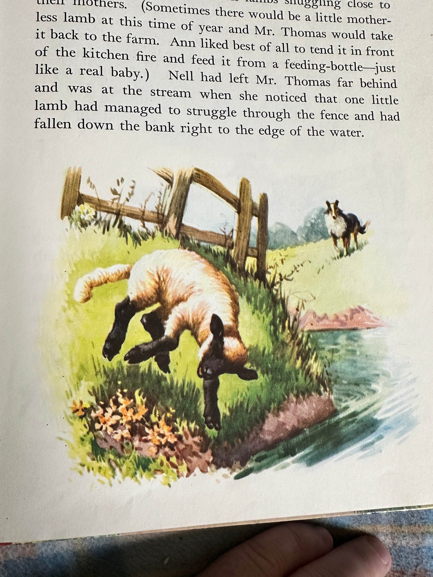 1950’s Cherry Tree Farm - A. E. Kennedy(The Sunshine Press) - Honeyburn ...
