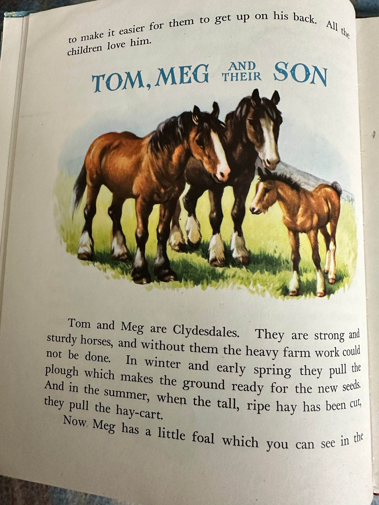 1950’s Cherry Tree Farm - A. E. Kennedy(The Sunshine Press) - Honeyburn ...